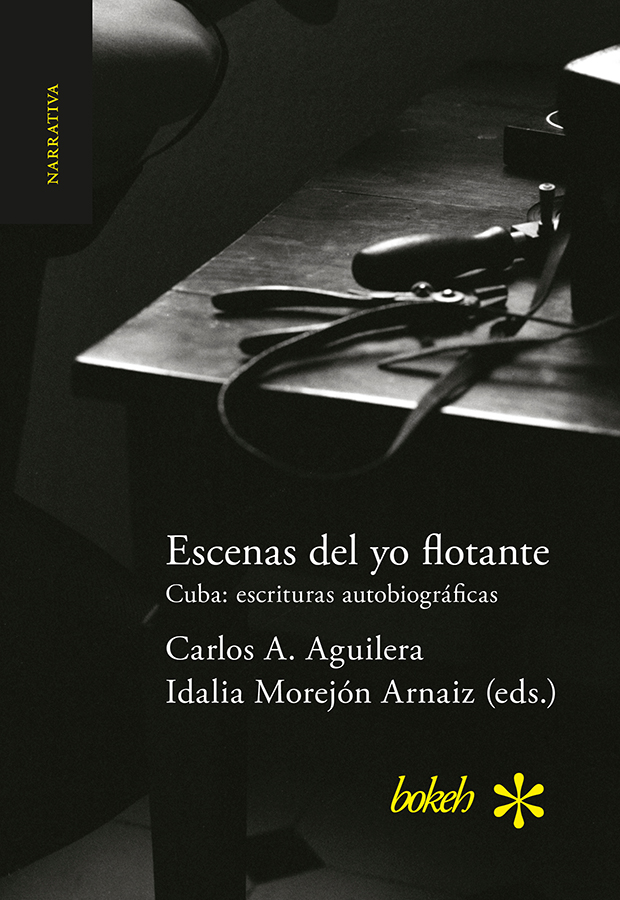 Aguilera, Carlos A. & Morejón Arnaiz, I. (eds.) (2017): Escenas del yo ...